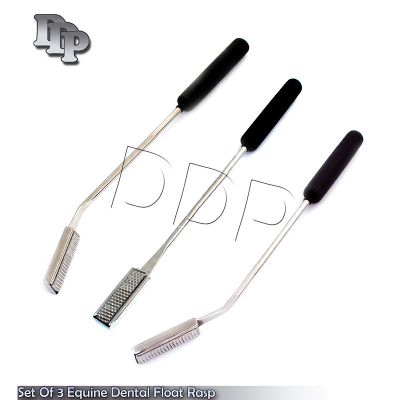 Set Of 3 Equine Dental Float Rasp Str,Down,Up,Veterinary Surgical ...