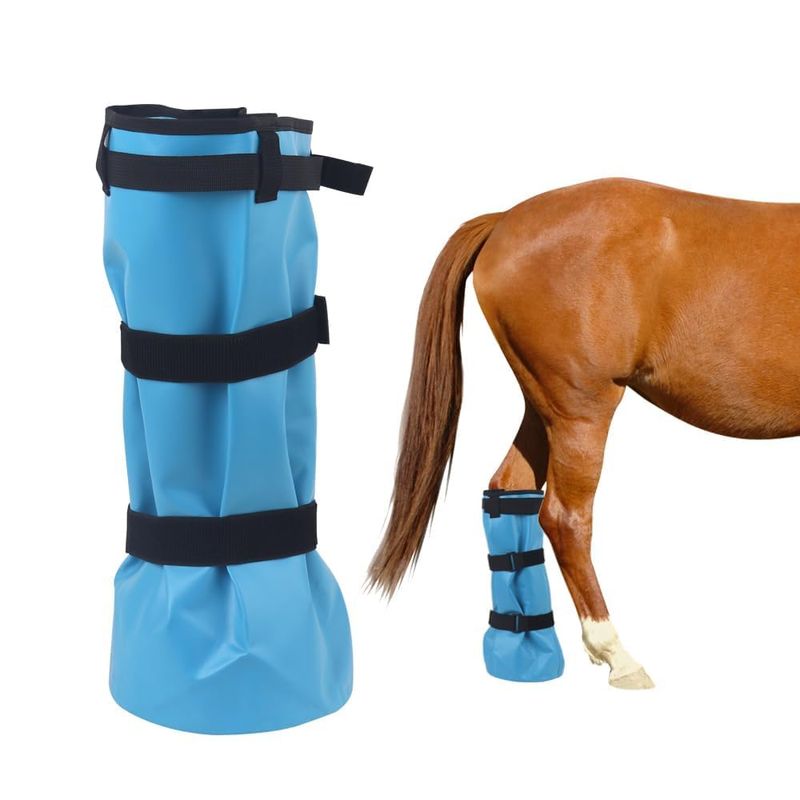 COMFPET Hoof Soaking Boot for Hoof Problems, White Line Disease, Thrush ...