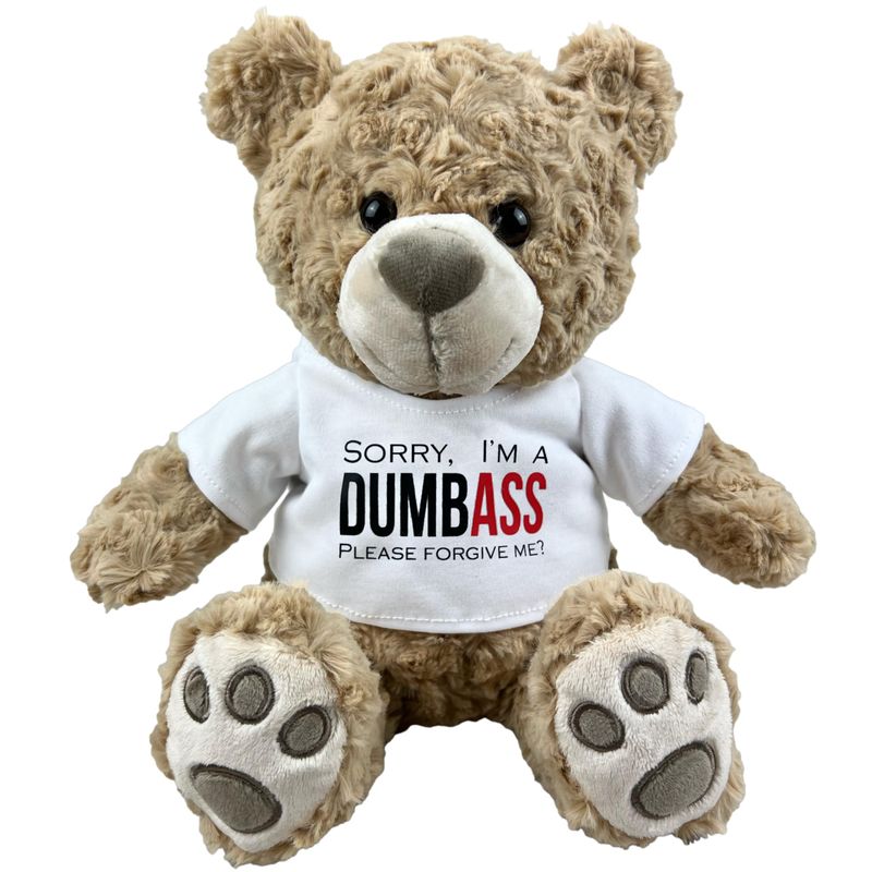 I’m Sorry Teddy Bear 10” Sitting | I Love You Im Sorry Plushie | Im ...