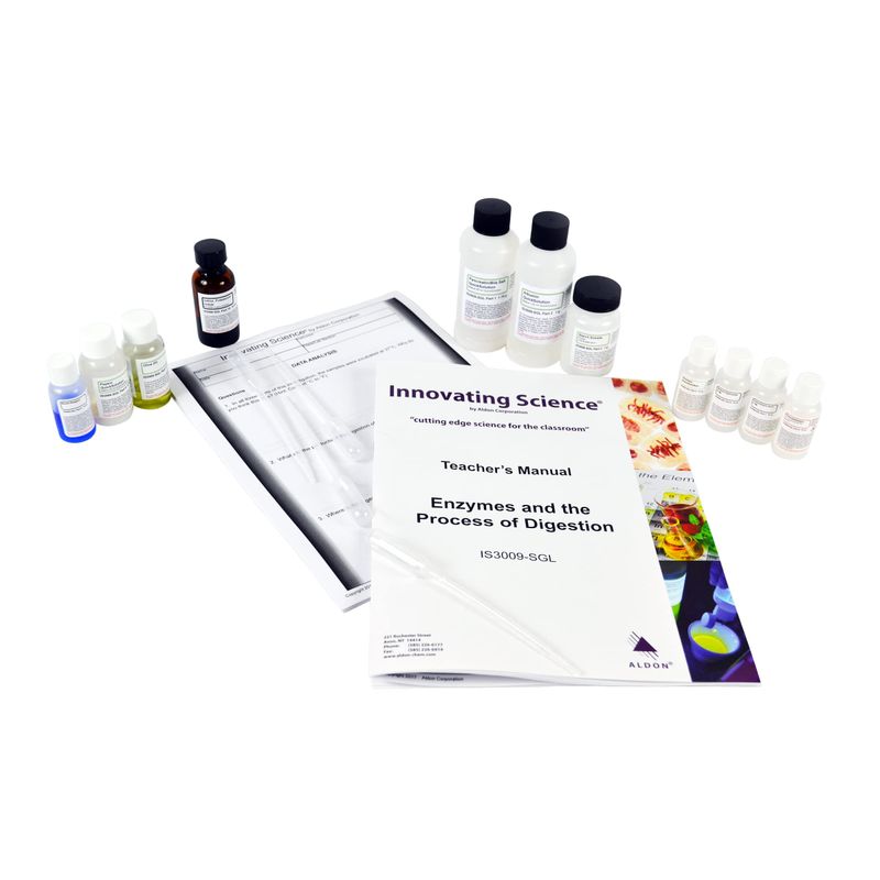 Innovating Science Enzymes and The Process of Digestion Kit: Small ...