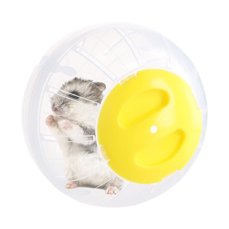 Gymnastics Ball, Hamster Ball, Large 14.5 cm, Hamster Wheel Exercise Ball, Plastic, Hamster Run ...