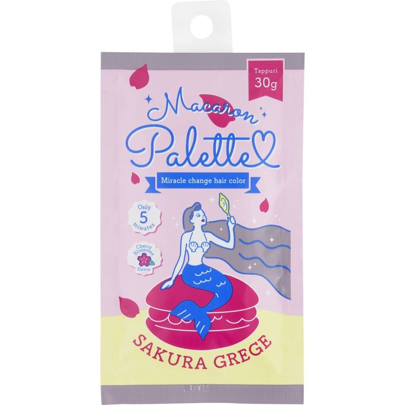 ebs Macaron Palette Change Hair Color SG 30G - Online Marketplace ...