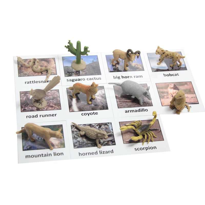 Montessori Desert Animal Match Cards and Figurines. Nomenclature ...