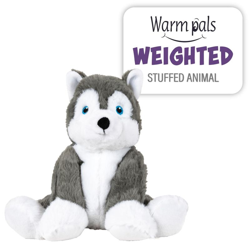 Warm Pals - Hayes Husky - 1.5lbs - Cozy Microwavable Lavender Scented ...