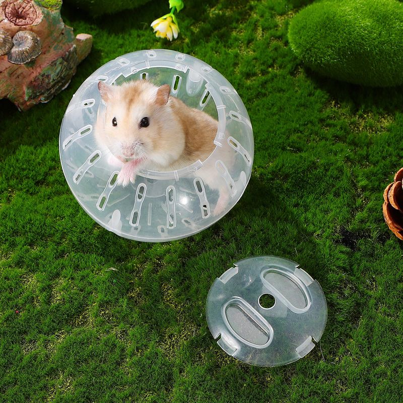 Beavorty Hamster Running Ball Gerbils Running Balls Gerbils Exercise ...