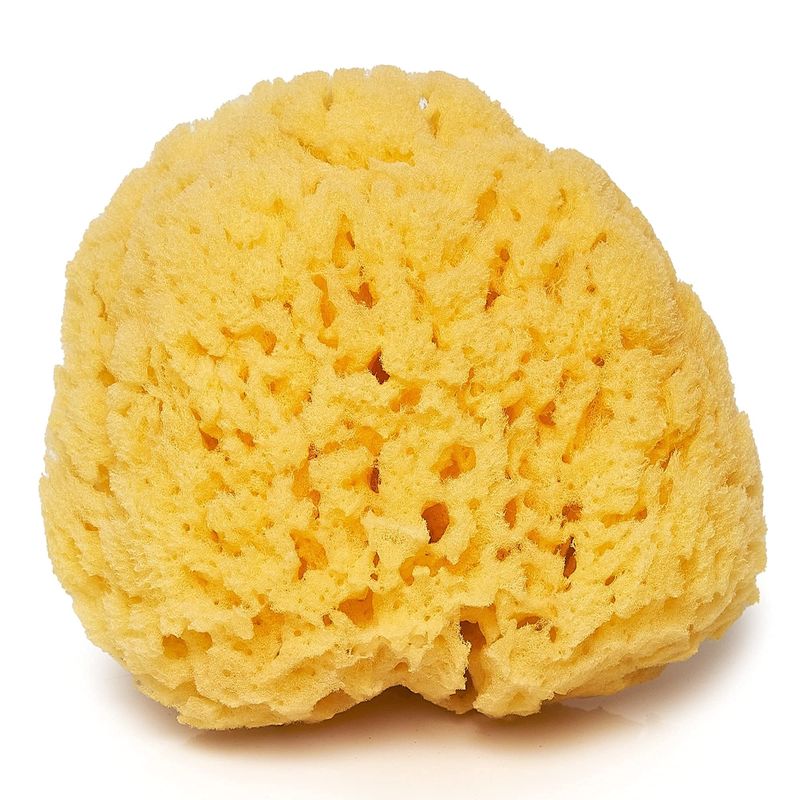 Sea Sponge for Bathing 5 inch-Softly Rough but Not Skin Irritating ...