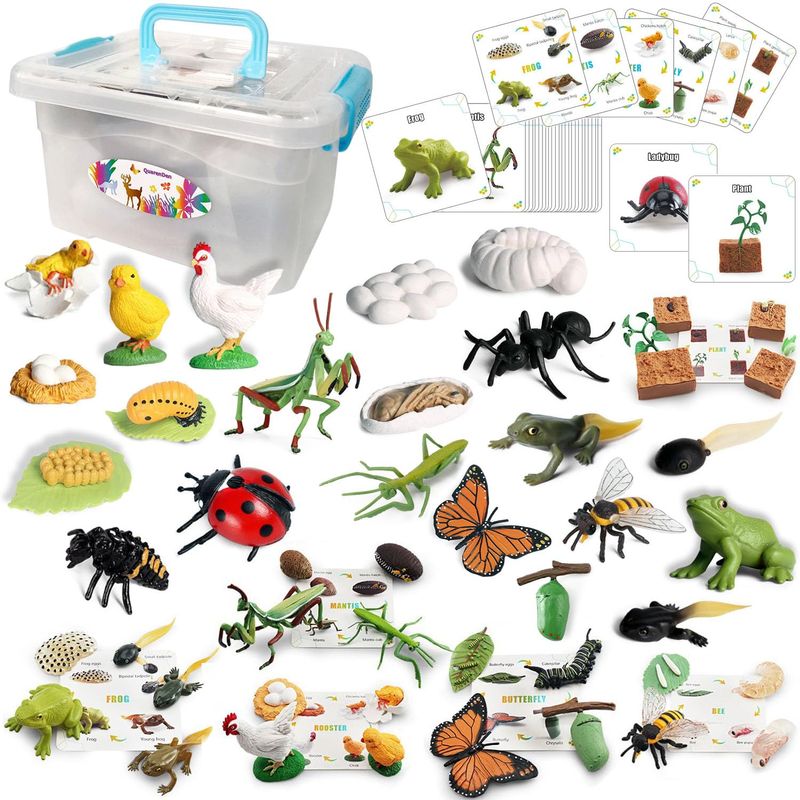 QuarenDen Life Cycle Toys, 33 PCS, Learning & Educational Toys ...