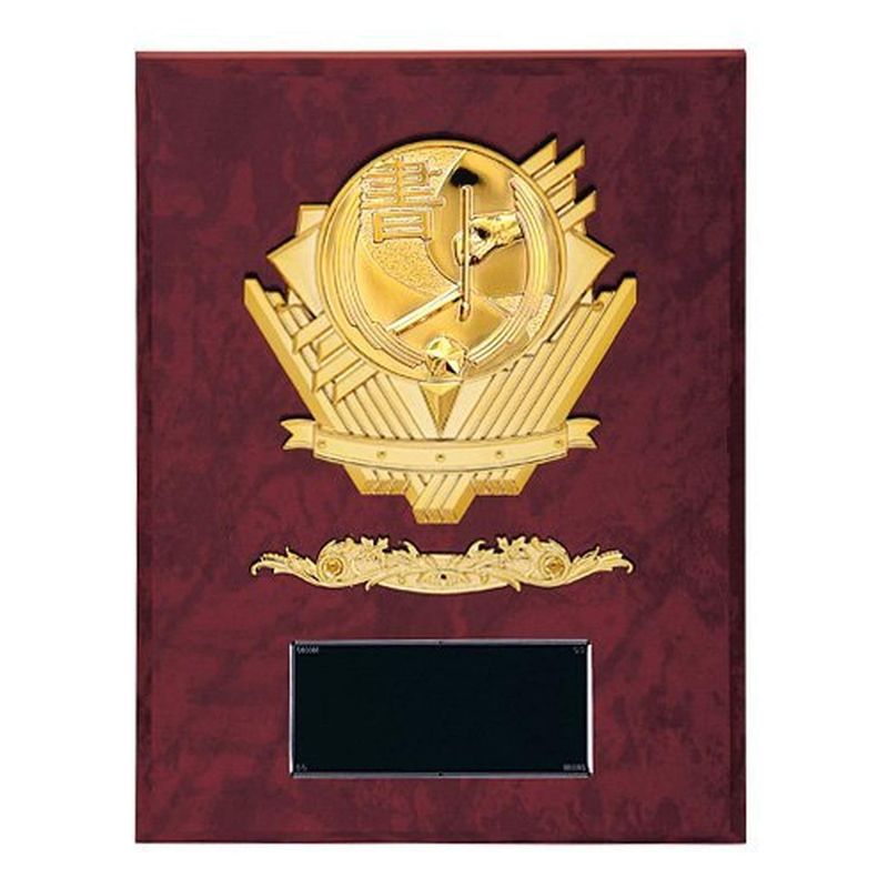 Winning Shield, Award Shield, Sculpture, Name Engraving, Trophy ...