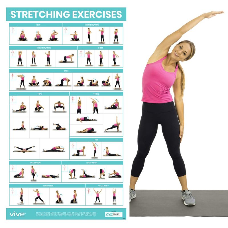 Vive Workout Posters for Home Gym - 52 Streching Exercises Full Body ...