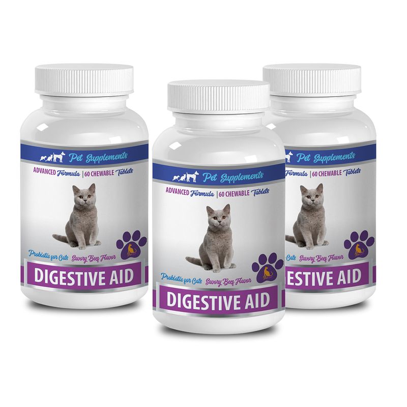 PET SUPPLEMENTS cat Stomach Relief - Cats Digestive AID - PROBIOTIC ...