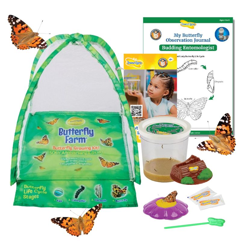 Insect Lore Butterfly Farm™ | Butterfly Kit with Live Cup of ...