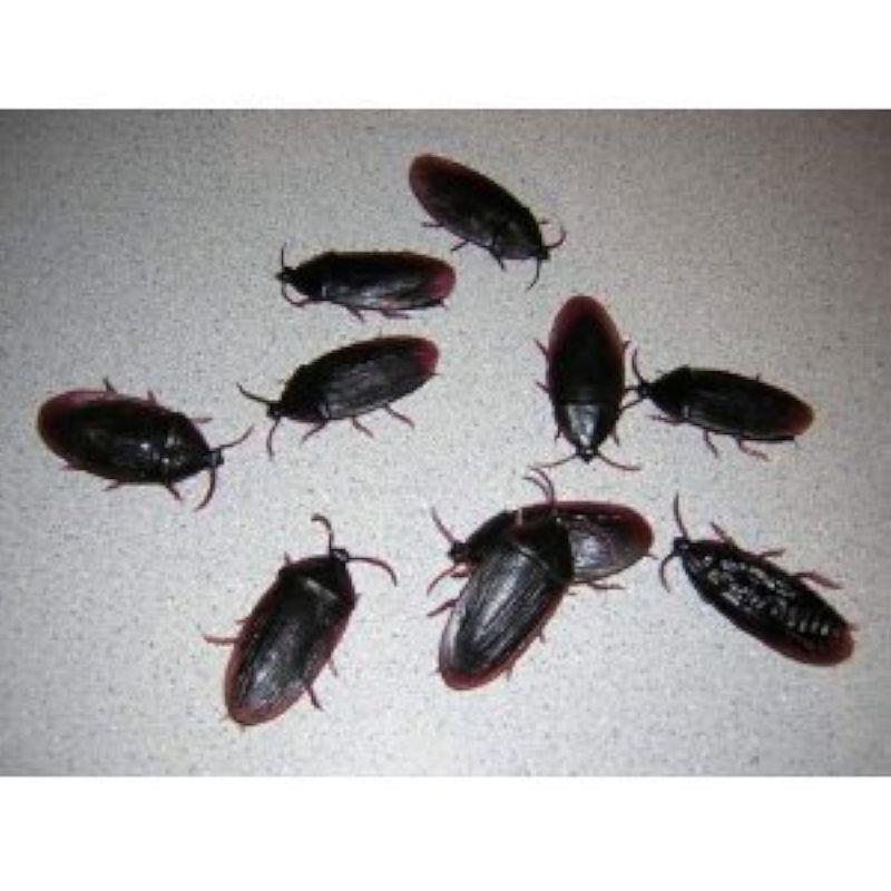 12- Fake Roaches Prank Novelty Cockroach Bugs Look Real - Online ...