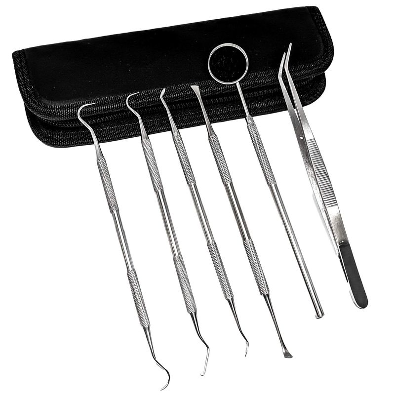 SURGICAL ONLINE Professional Dental Tools Kit, Teeth Cleaning Oral Care ...