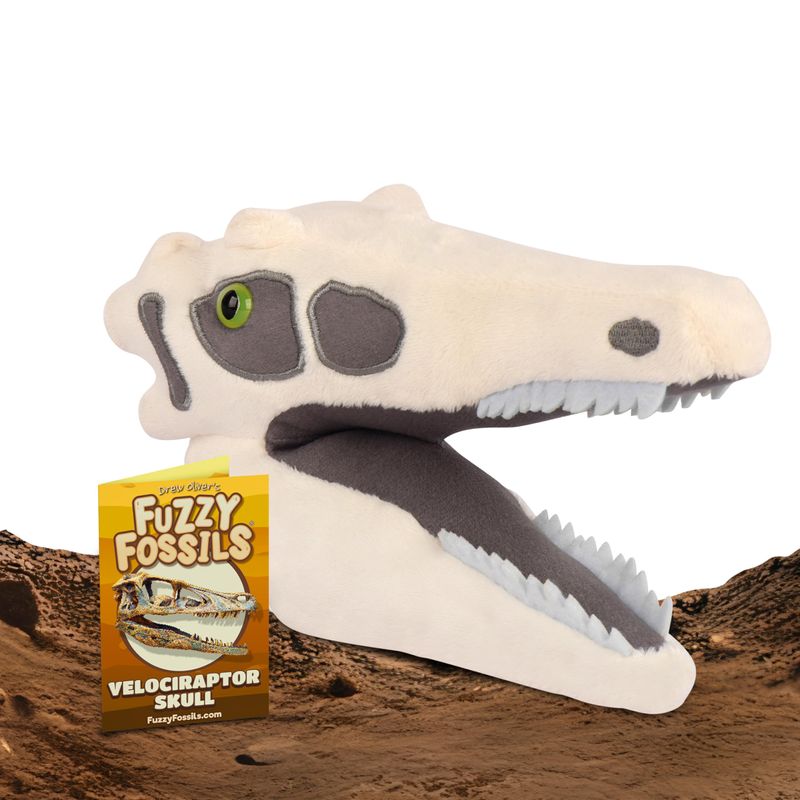 GIANT MICROBES Fuzzy Fossils Velociraptor Plush, Dinosaur Stuffed ...