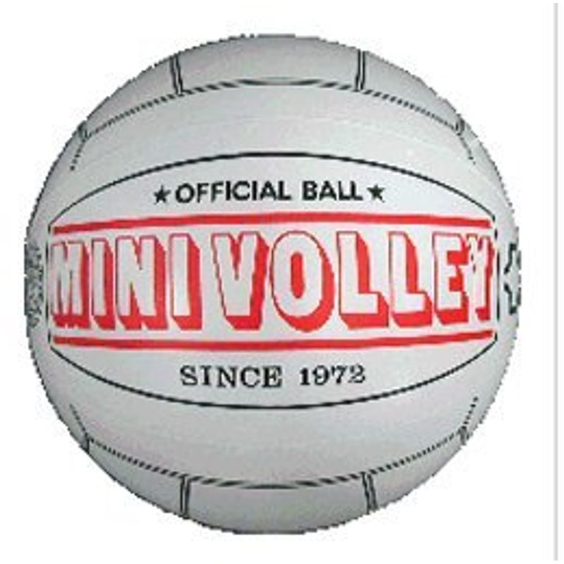 Mini Volley Ball Mini – VB Mini Ballet Association Official Ball ...