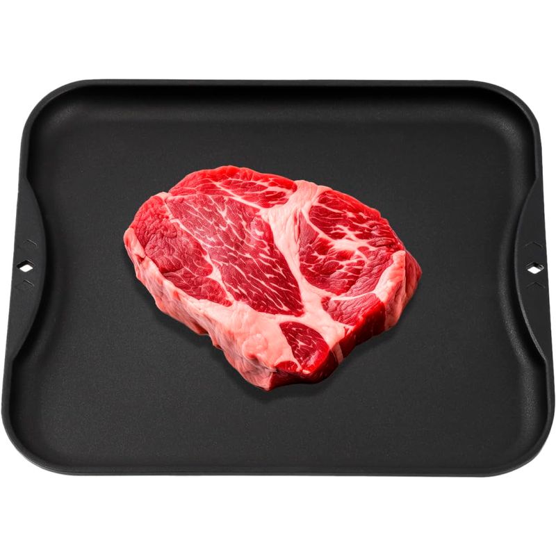 IWANO Thawing Plate, Thawing Dish, Dramatically Reduces Thawing Time ...