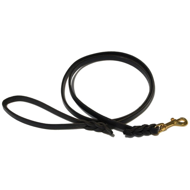 Ray Allen Mfg Signature K9 Braided Leather Leash, 5-Feet x 1/2-Inch ...