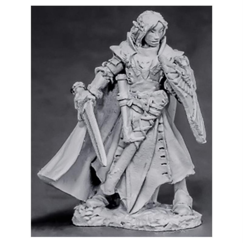 DHL: Alandin, Elf Paladin - Online Marketplace - EveryMarket