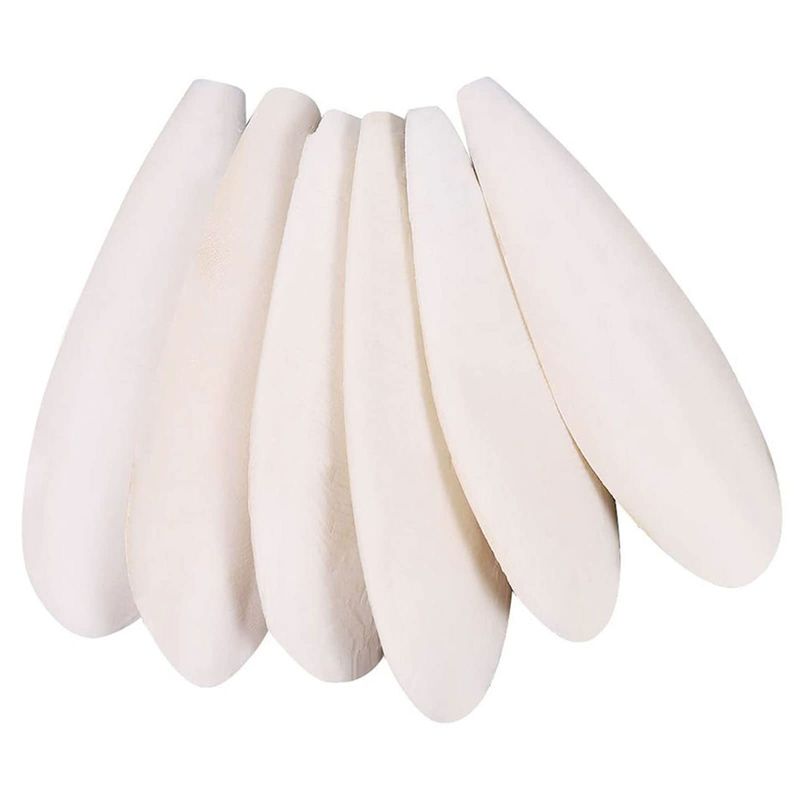 Mivofun Cuttlebone for Birds Parakeets Canaries Cockatiels Small ...