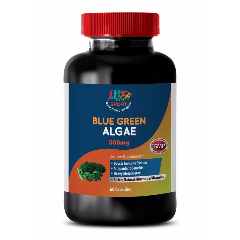Pure Blue Green Algae 500mg - from Klamath Lake Antioxidant B12 (1 ...